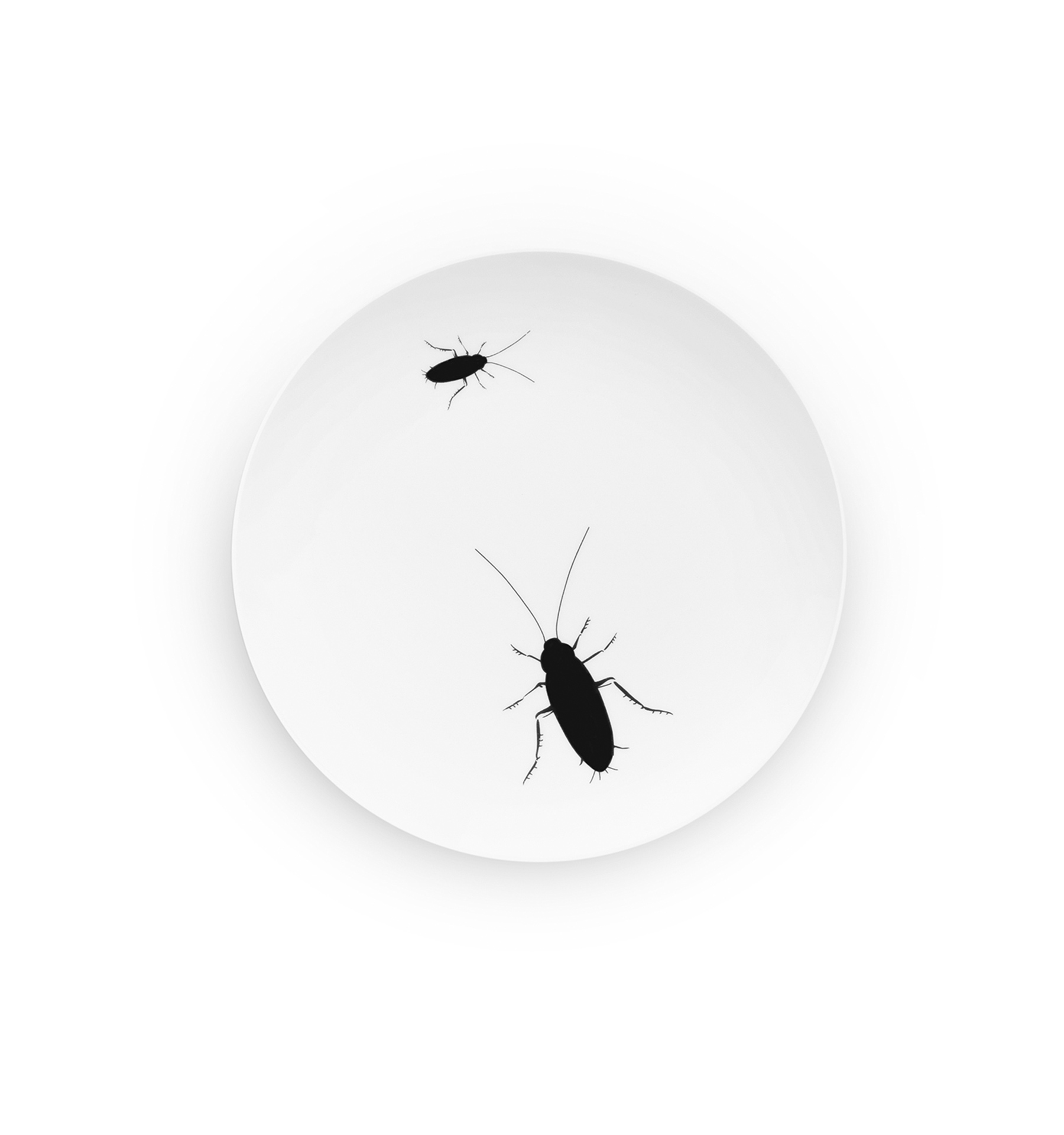 COCKROACHES PORCELAIN PLATE - Elena Votsi