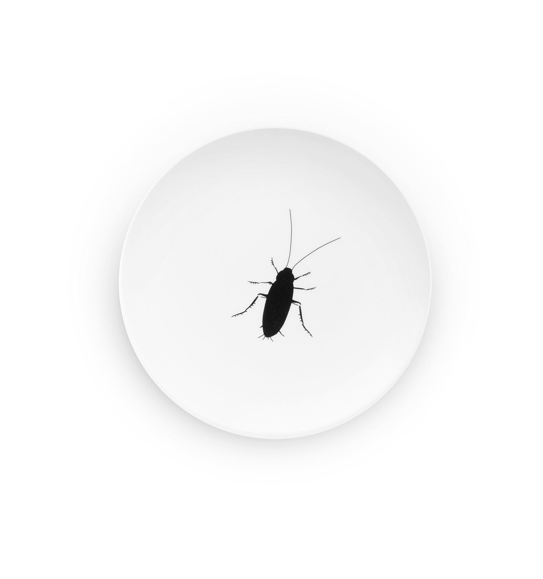 COCKROACH PORCELAIN PLATE - Elena Votsi